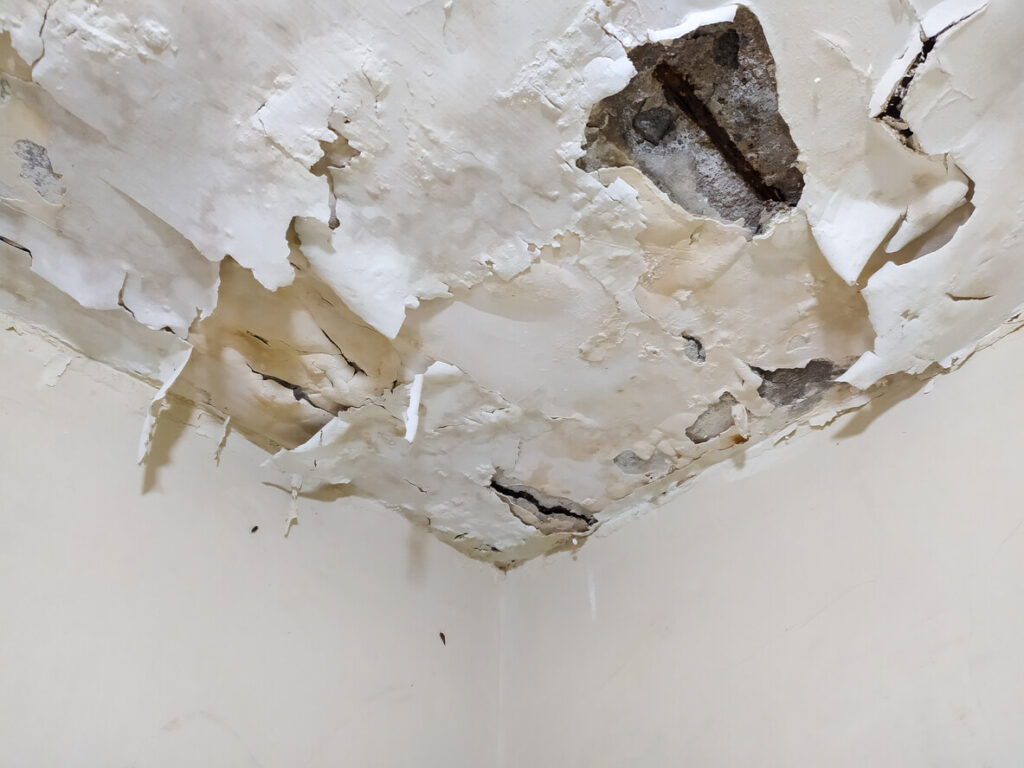 Home Water Damage: 3 Common Causes – Barkley Jr. Condo Corp.